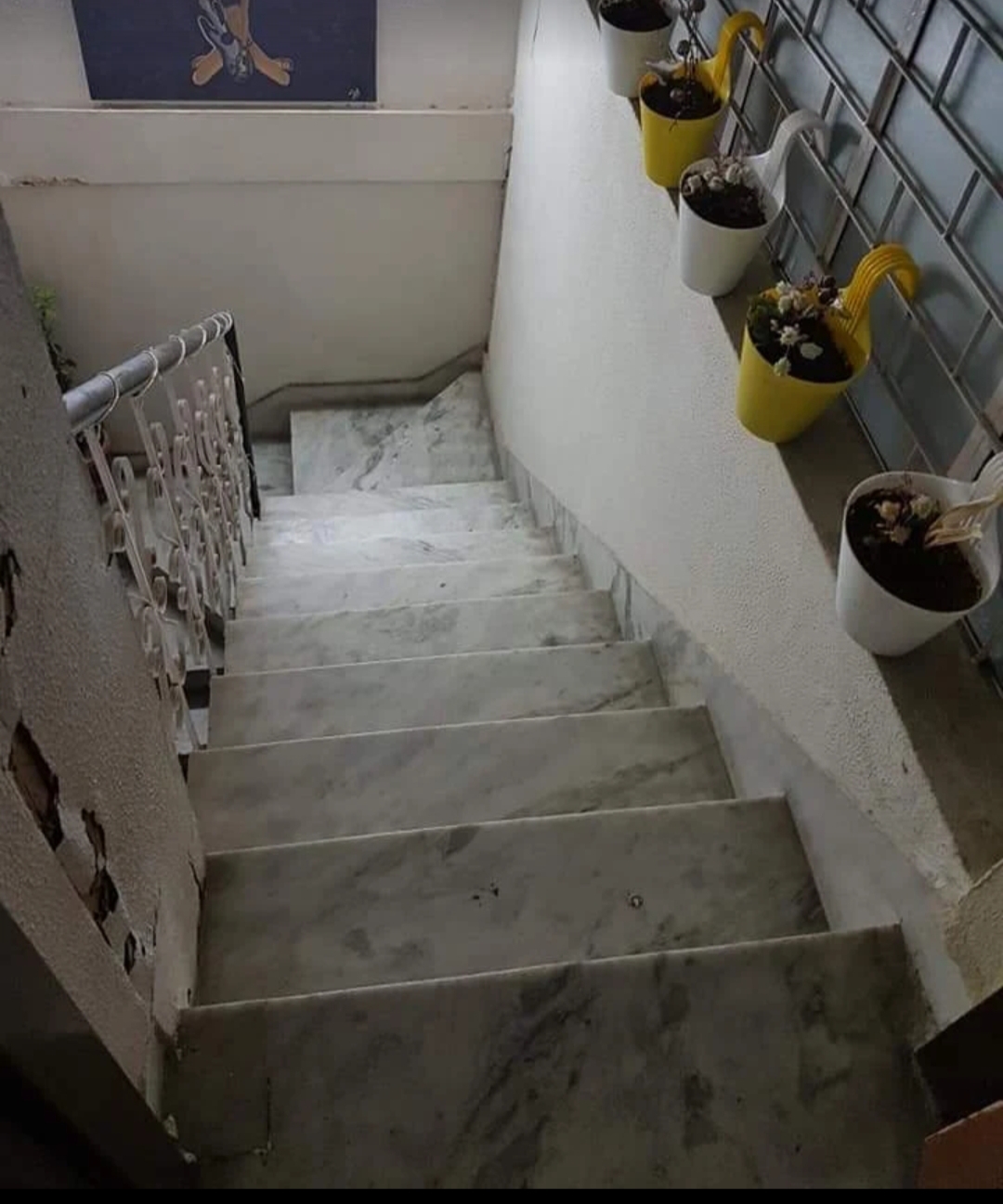 PG Dekho | Find Paying Guest & Coliving Across India